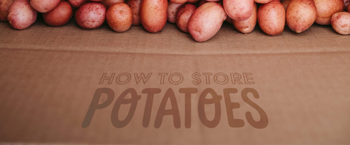 Keep Your Little Potatoes Tasty with Smart Storage Tips | The Little ...