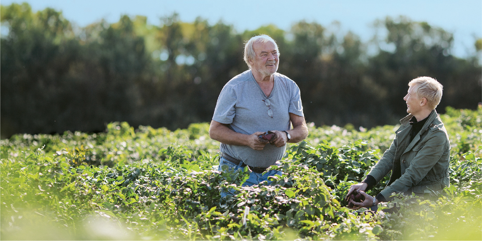 Our Story | The Little Potato Company